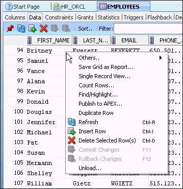 Oracle SQL Developer 3.0