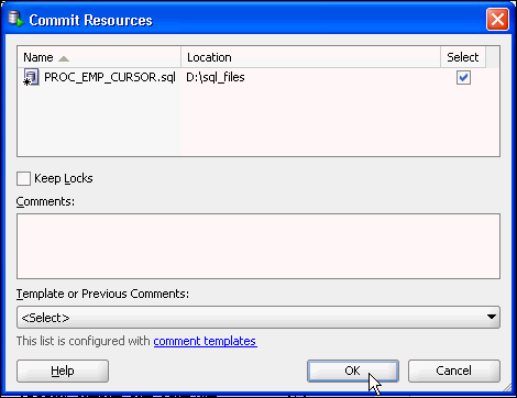 Using Source Code Control