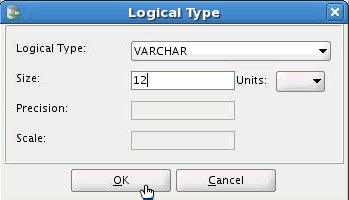 Working with Customizable Design Rules and Transformation Scripts