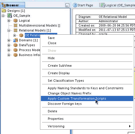 Working with Customizable Design Rules and Transformation Scripts