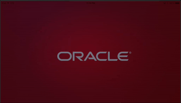 Customizing the Secure Workspace Application Container