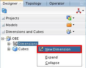Oracle Data Integrator 12.2.1: Creating Cubes and Dimensions