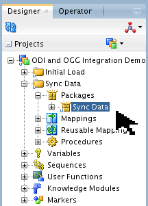 ODI+OGG Integration