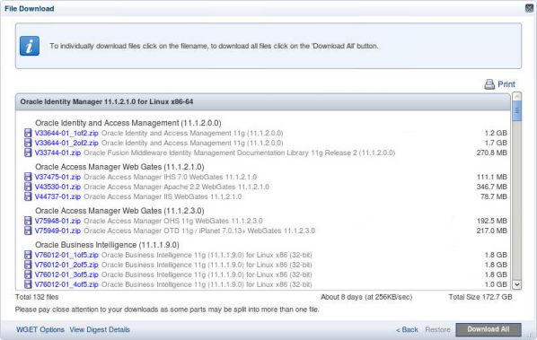 Setting-up an Oracle Identity Manager 11gR2 PS3 environment