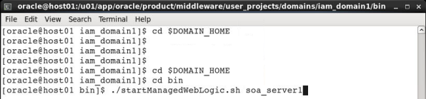 Setting-up an Oracle Identity Manager 11gR2 PS3 environment