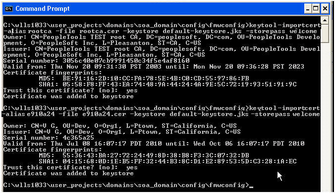 Installing and Configuring Peoplesoft Integration Types for FCM