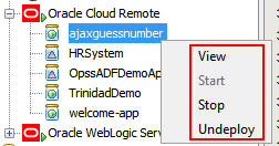 Configuring NetBeans for Oracle Cloud