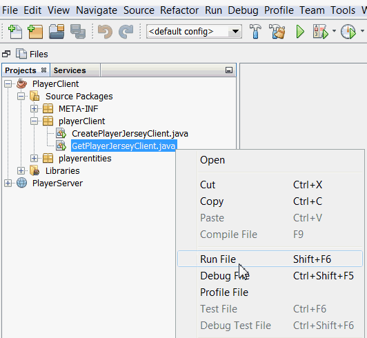 Creating RESTful Web Services in NetBeans 7: Part 2