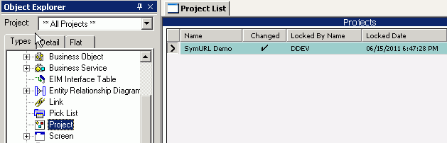 Embedding External Web Content in a Siebel View