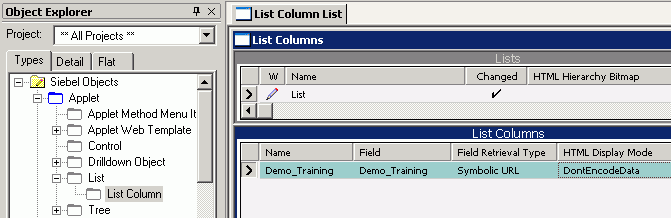 Embedding External Web Content in a Siebel View