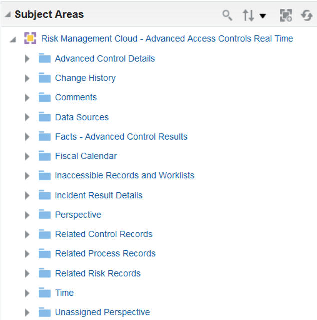 Oracle Risk Management Cloud R13 (updates 18A - 18C)